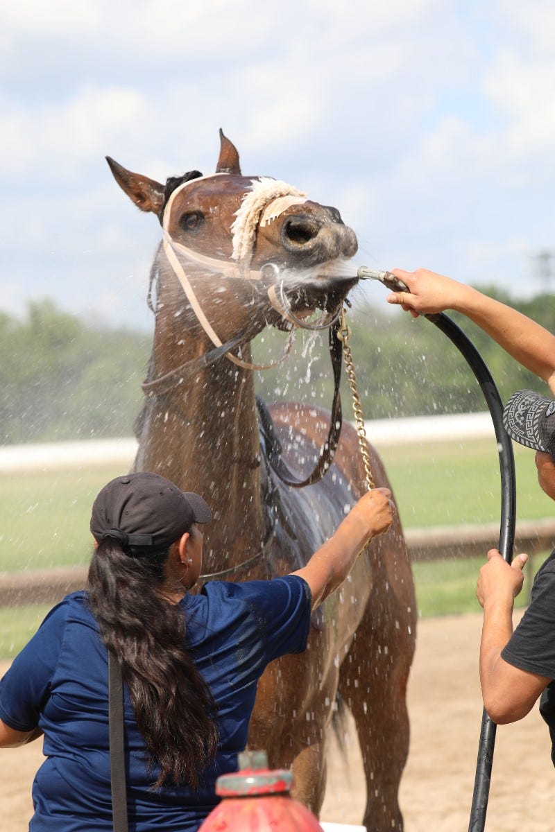 Cloetss leaked it’s not the same, but the chemistry and